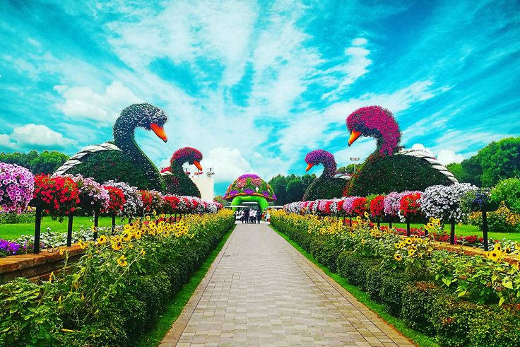 Must Know Things Before Visiting Dubai Miracle Garden